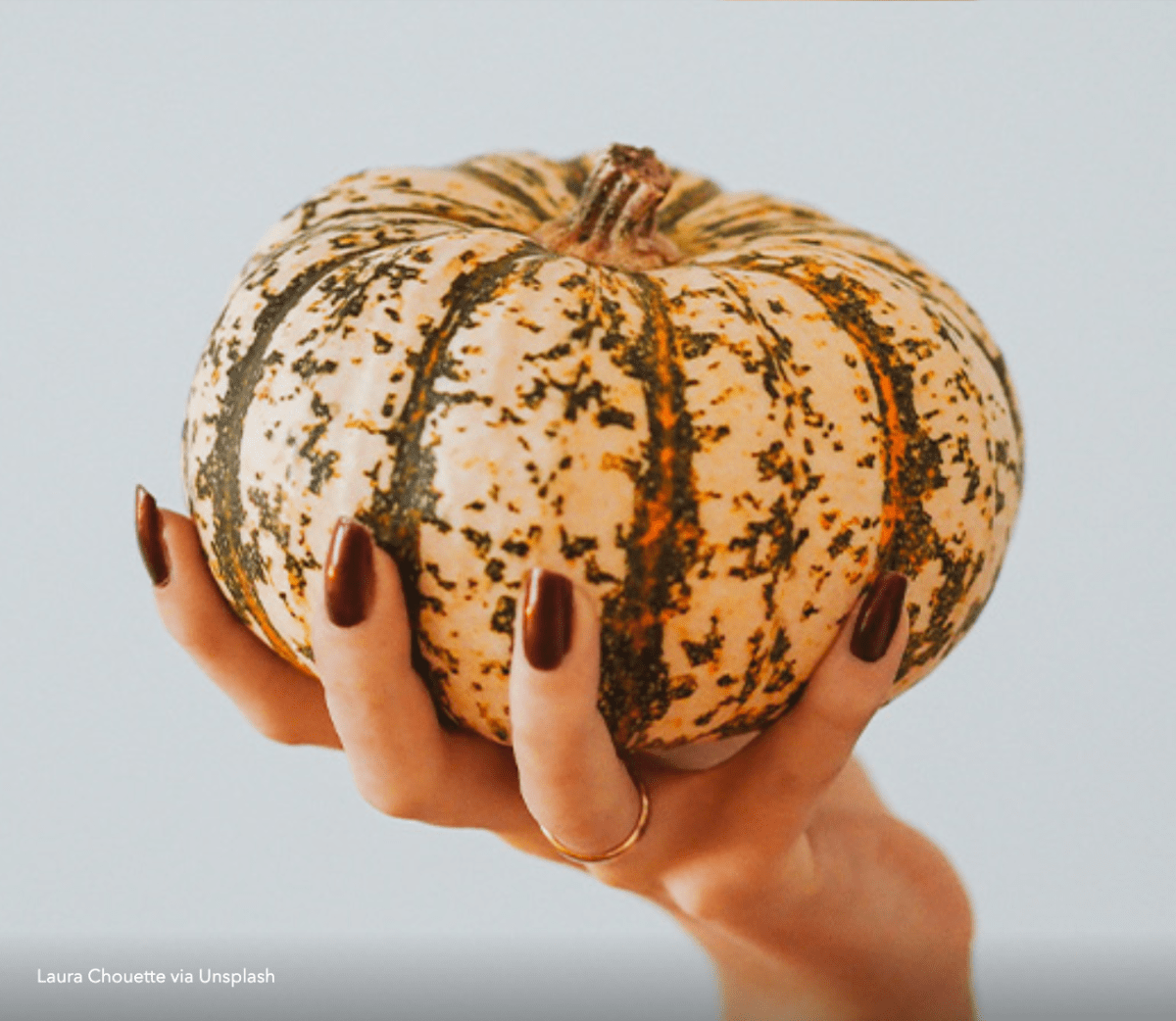 Pumpkin-Themed Products: Imperishable or Losing Their Spice? – Carla Seipp